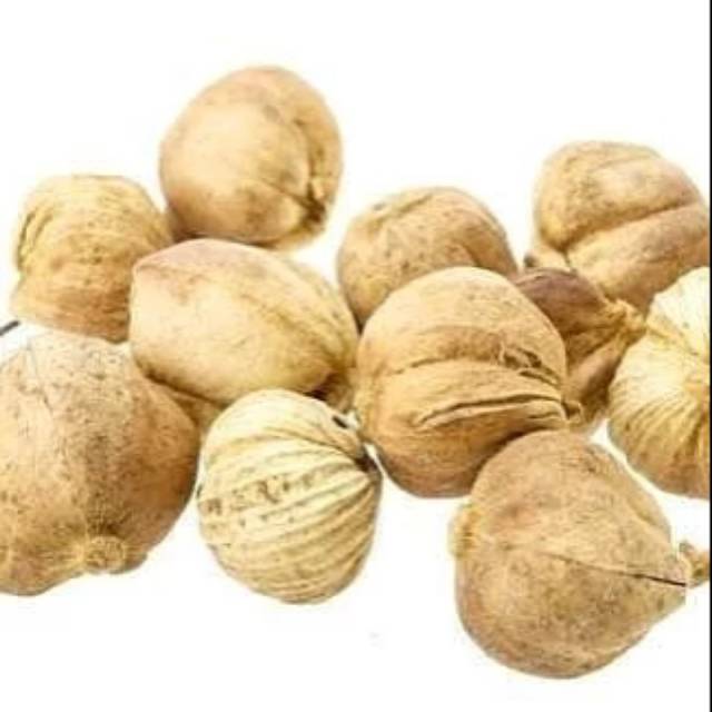 Dried Capulaga 1 kg | Shopee Malaysia