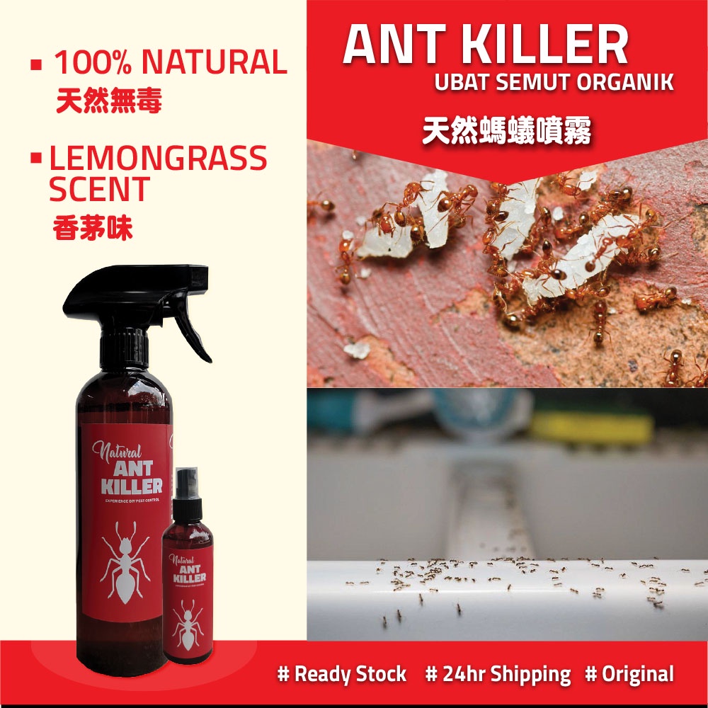 Ant Killing Spray Natural Penyembur Semut Semulajadi 天然蚂蚁喷雾 | Shopee ...
