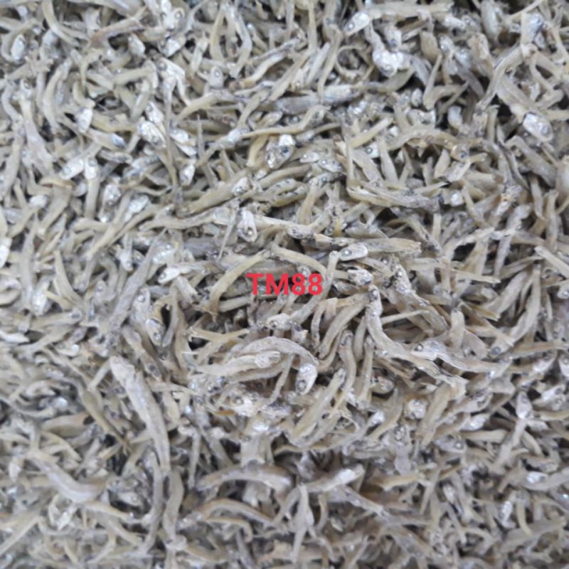 Non PEELED TERI FISH TYPICAL IN KALIMANTAN | Shopee Malaysia