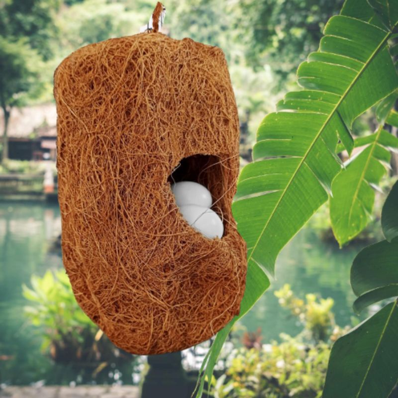 Susuh MANUK Bird's Nest LOVEBIRD Capsule Shape Hanging Coconut Fiber ...