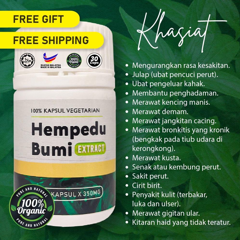 Hempedu Bumi Original, Extract Hempedu Bumi, Capsule Hempedu Bumi ...