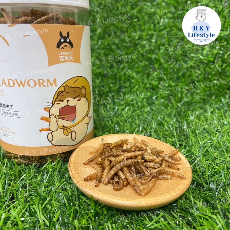 Jonsanty Dried Meal Worm Bread Worm For Small Pet Hamster Hedgehog ...