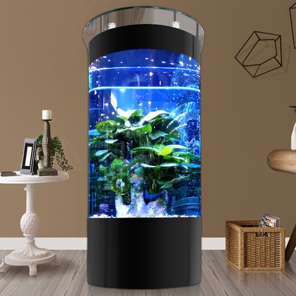 Pet Bank Large Aquarium Glass Fish Tank Semi Circle Living Room ...