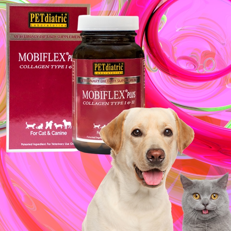 Petdiatric Mobiflex Plus UC-II Collagen Type I & II for Cats & Dogs 60 ...