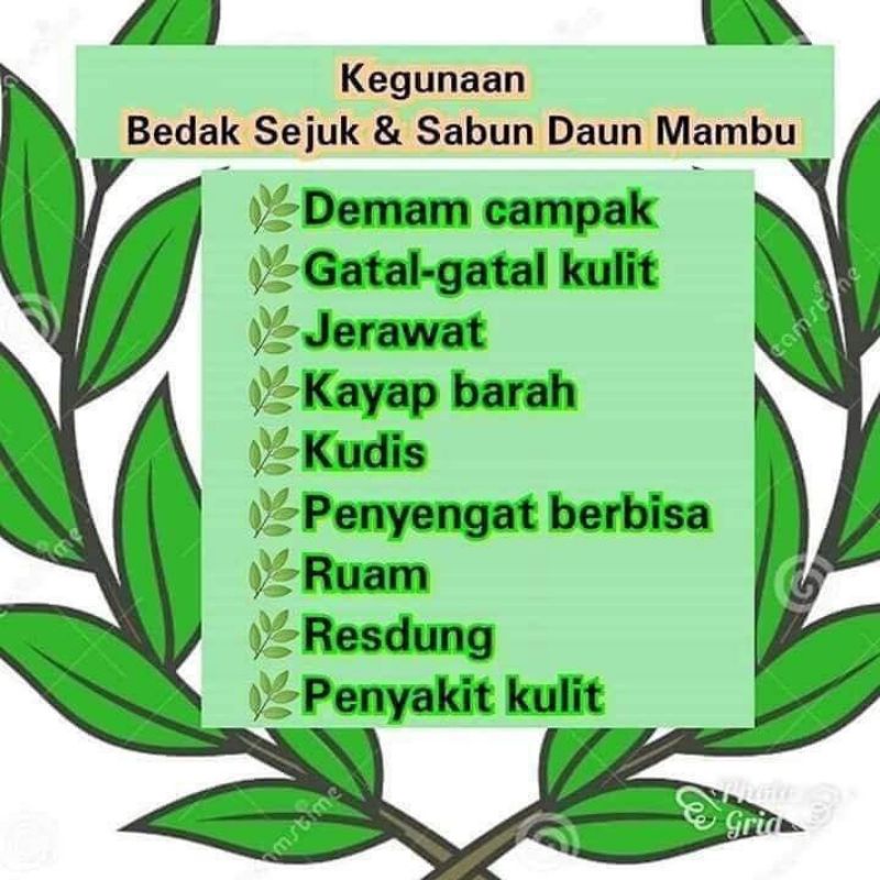 🔥BEDAK DAUN SEMAMBU READY STOK | Shopee Malaysia