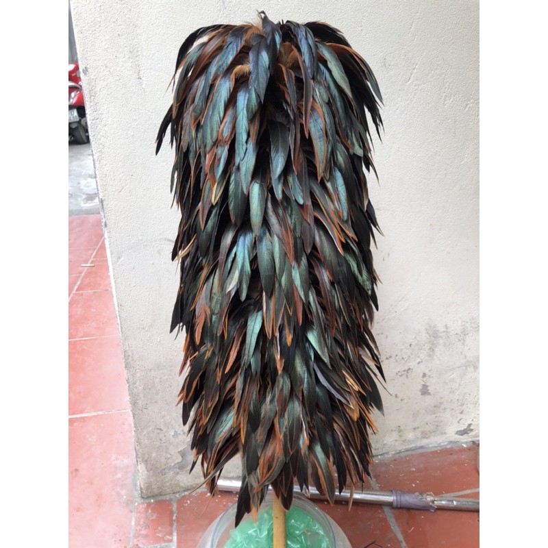 Chicken feather broom_glossy black feather broom | Shopee Malaysia