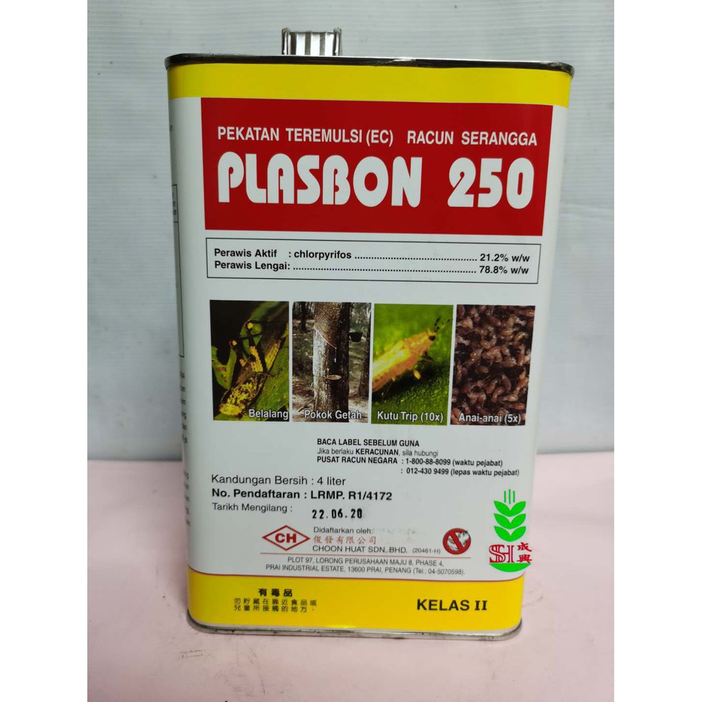 CH PLASBON 250 @4L Boleh menghapuskan Anai-anai & Belalang & Kutu Trip ...
