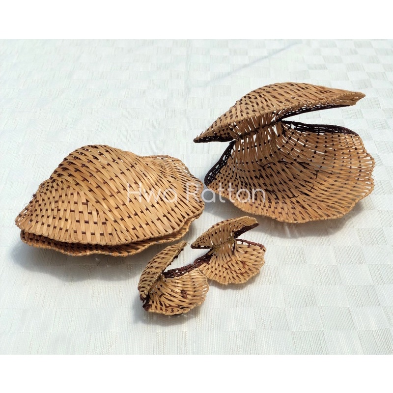 Shell accessories storage organiser deco siput bekas Shell shaped ...