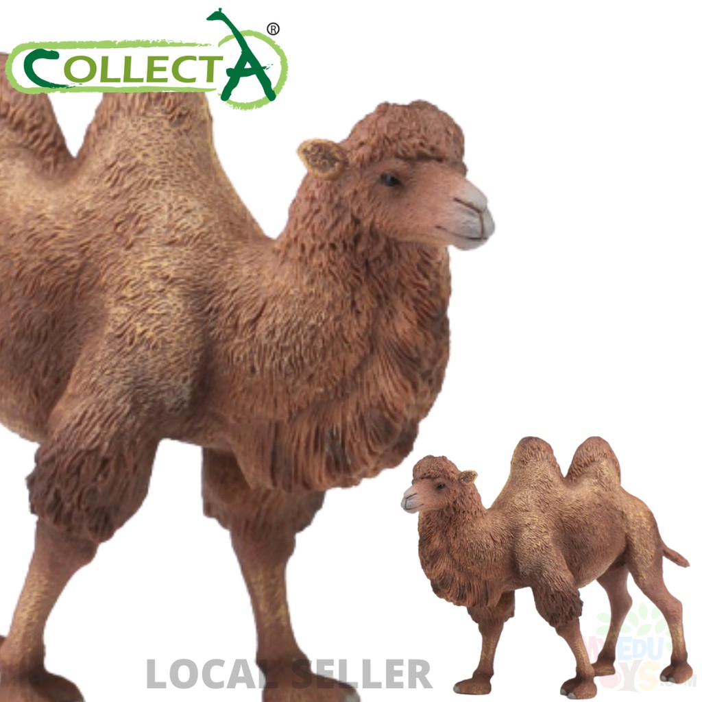 Bactrian Camel - Collecta 88807 Wild Life Animal Action Figure / Toys ...