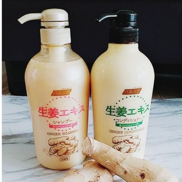 HARUHADA GINGER SHAMPOO & CONDITIONER (600ML x 2) 1 SET | Shopee Malaysia