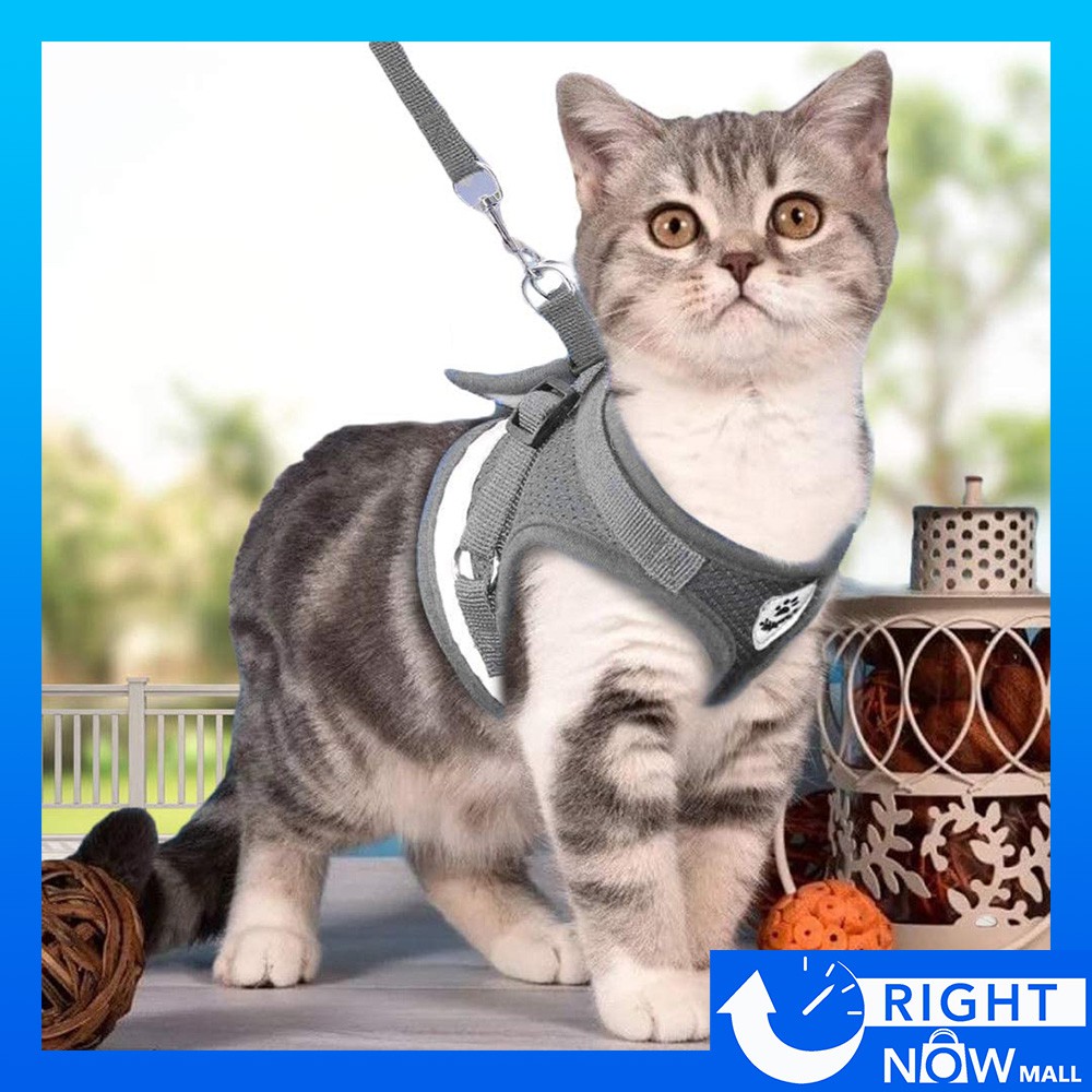 Rightnow🐾 Cat Pet Collar Harness Vest 2.0 with Leash Kolar Rantai ...