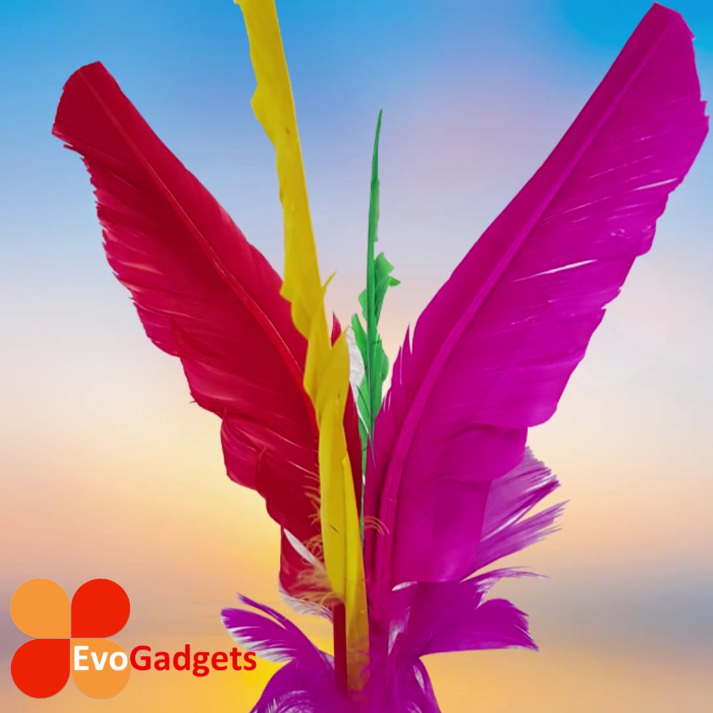 EvoGadgets Traditional Games in Malaysia - Capteh Chapteh / Sepak Bulu ...