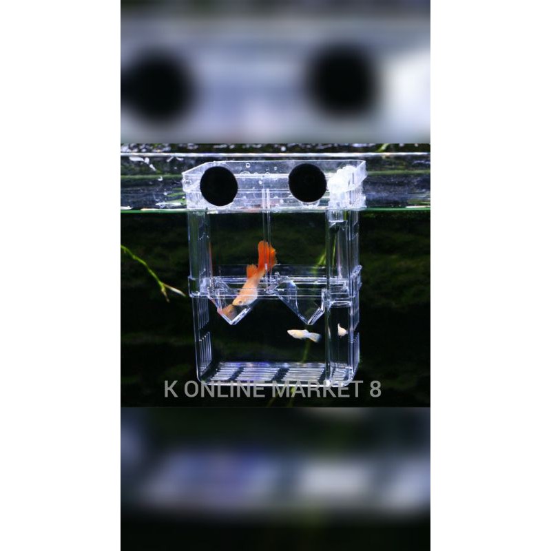 💥READY STOCK💥 Fish Tank Incubator Breeding Box Acrylic Isolation Box ...