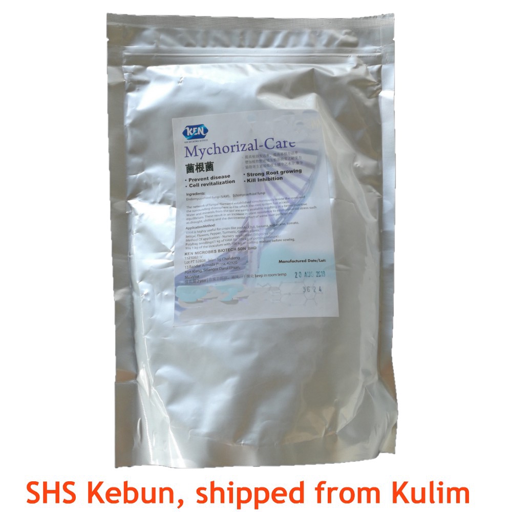 Mychorizal Care 1kg Baja Akar Mycorrhizal Fungi 菌根菌 for Healthy Root ...