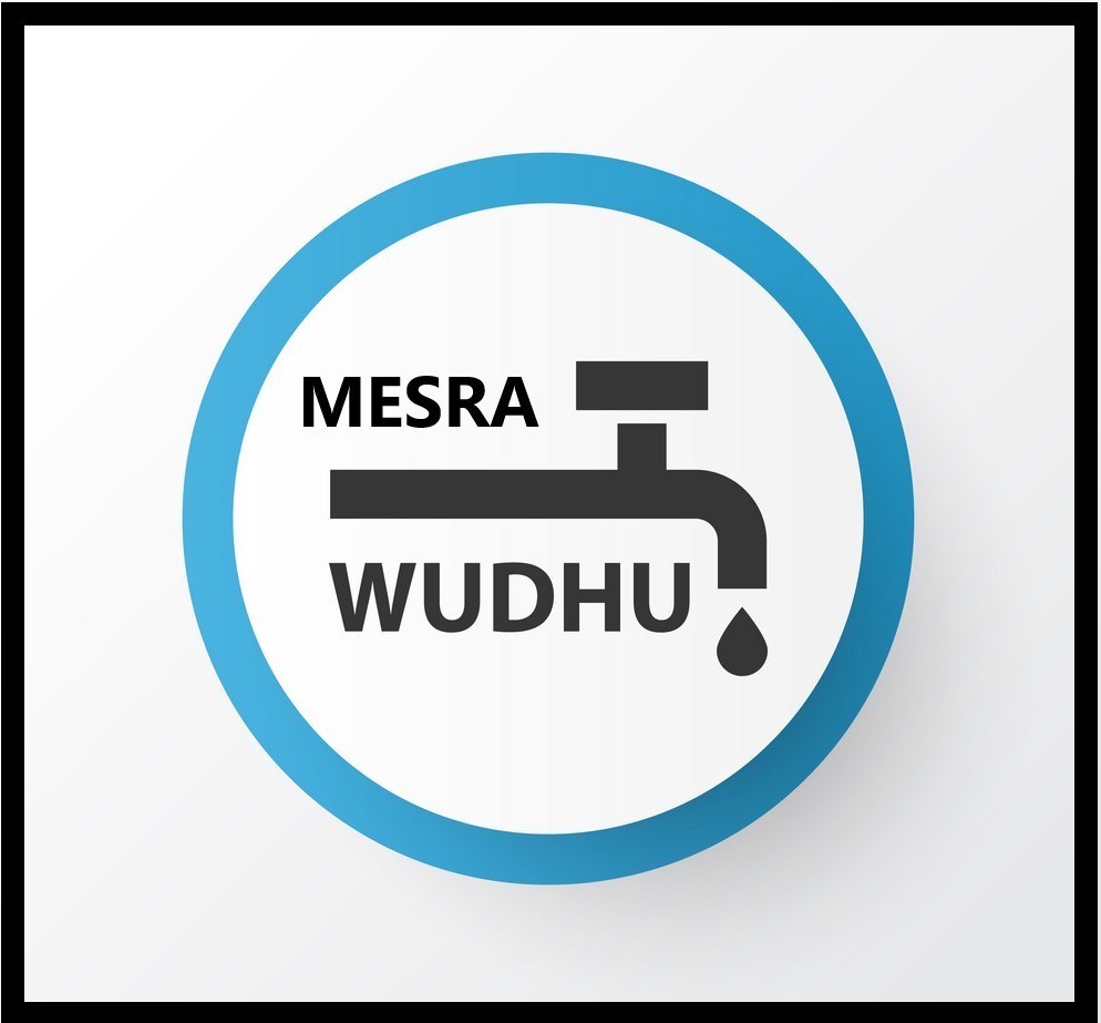 MENOWONE NATURAL HAIR BEAUTY SHAMPOO HAIR COLOR SHAMPOO INAI HENNA ...