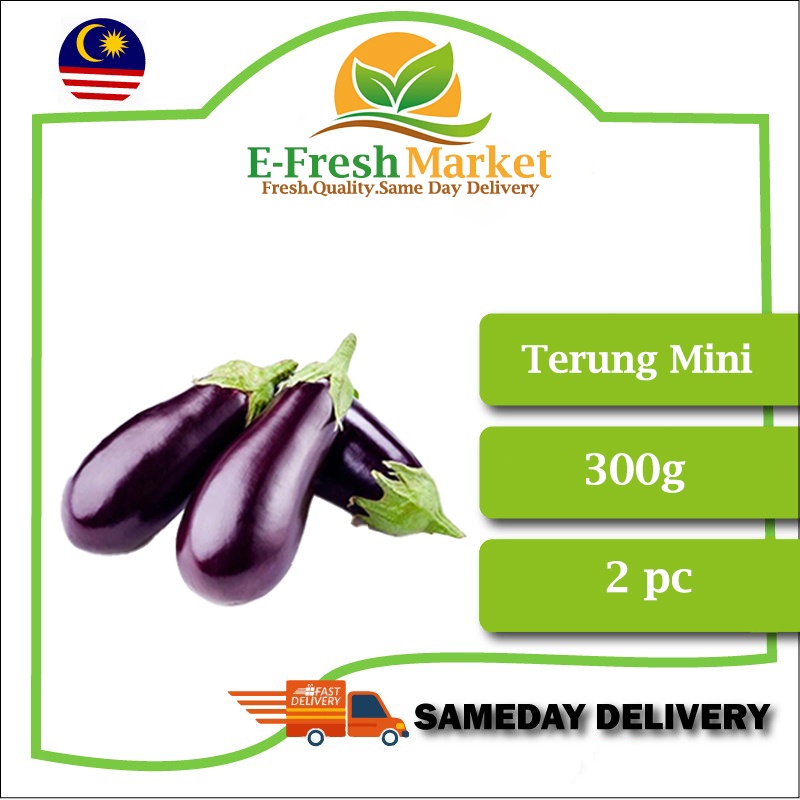 🔥Lowest Price🔥Fresh Vegetable Eggplant Terung / Terung Mini Mutiara ...