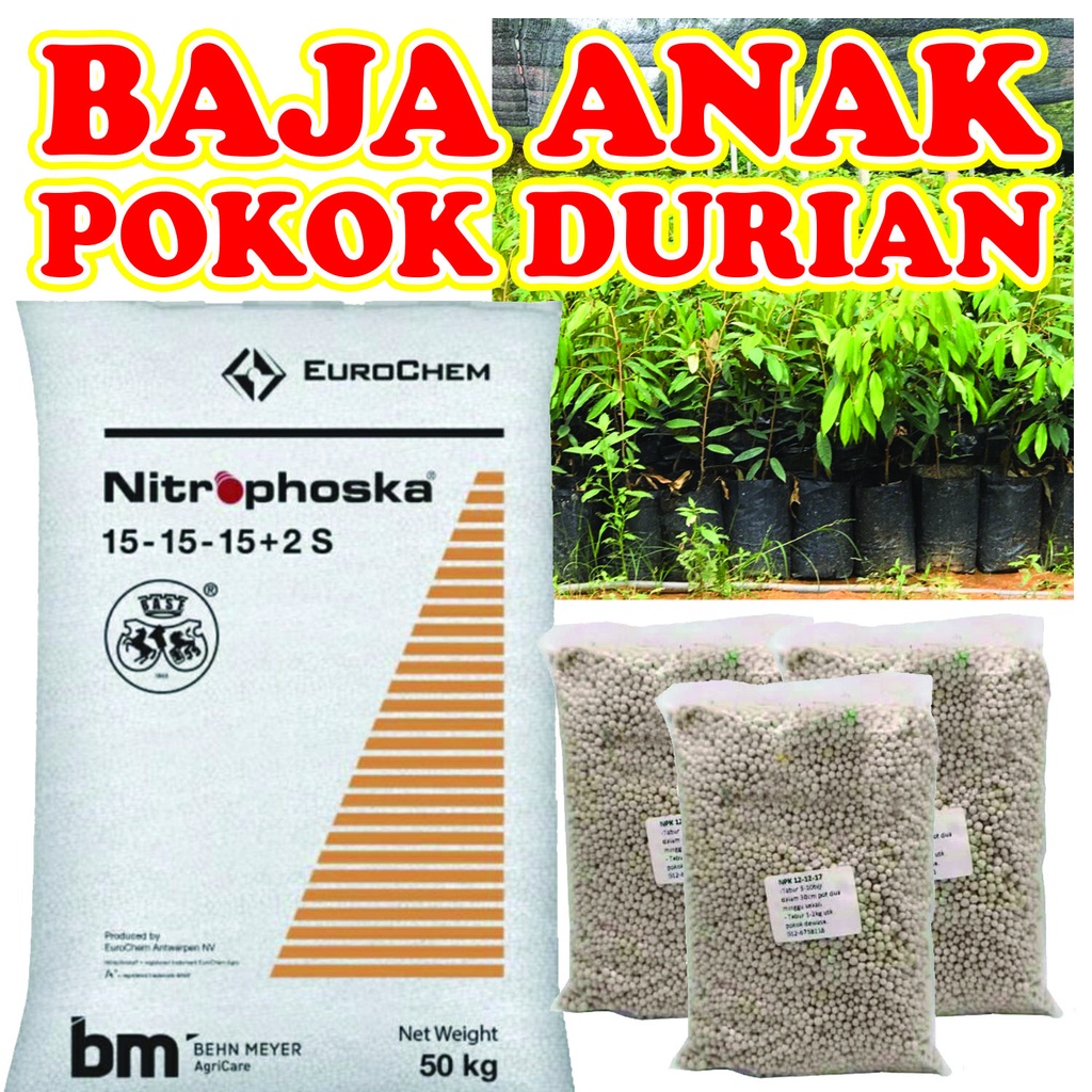 Baja Pokok Durian Cepat Tunas Cepat Cambah Cepat Besar Tahan Lasak Nitrophoska 15-15-15+2S 1kg ...
