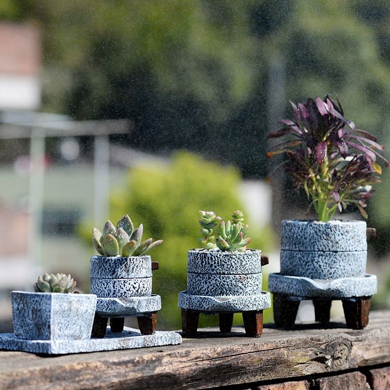 HARII POTTER Ceramic Pot Fortune Series Good Luck Plant Pot 陶瓷花盆 Pasu ...