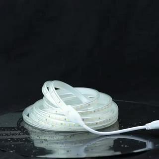 220V LED Strip Lights(Free power plug )Indoor Outdoor Led Lights For ...