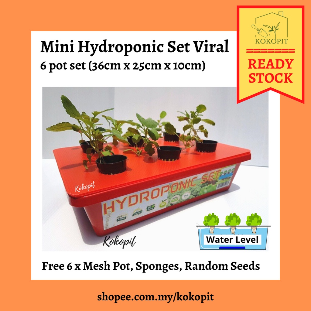 🌱READY STOCK🌱 MINI HIDROPONIK SET / HYDROPONIC SET STARTER KIT (6/8 POT ...