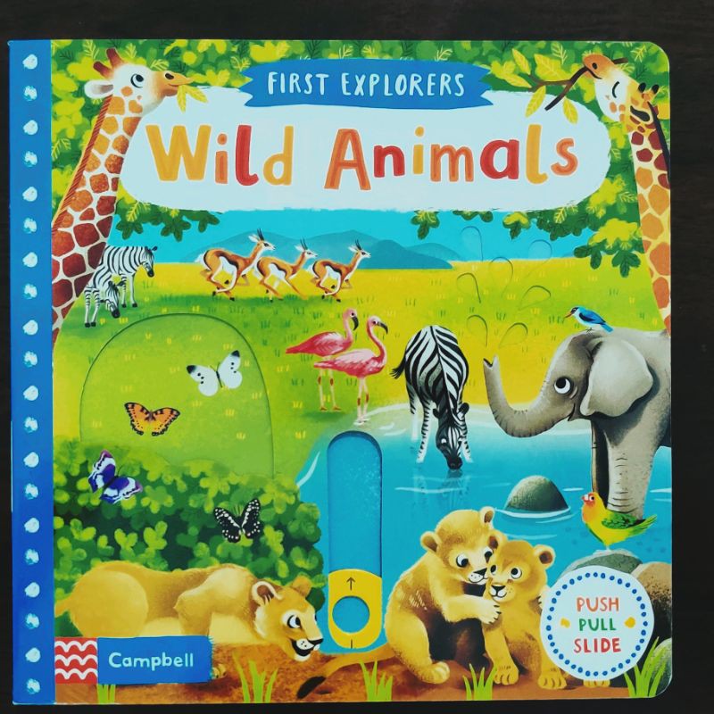 Ready Stock Campbell First Explorers Wild Animal Book for Kids and ...