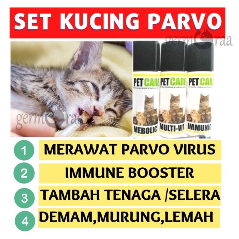 Ubat Parvo Kucing Set Parvo Virus Cat Immune Booster Demam Murung Ulser ...