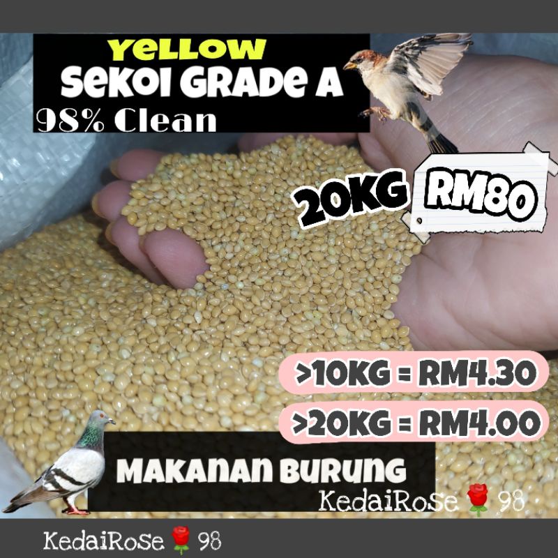 [Repack/20kg] Sekoi Yellow Millet White Millet Makanan Burung | Ayam ...