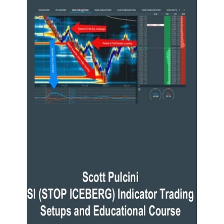 Scott Pulcini – SI (STOP ICEBERG) Indicator Trading Setups and ...