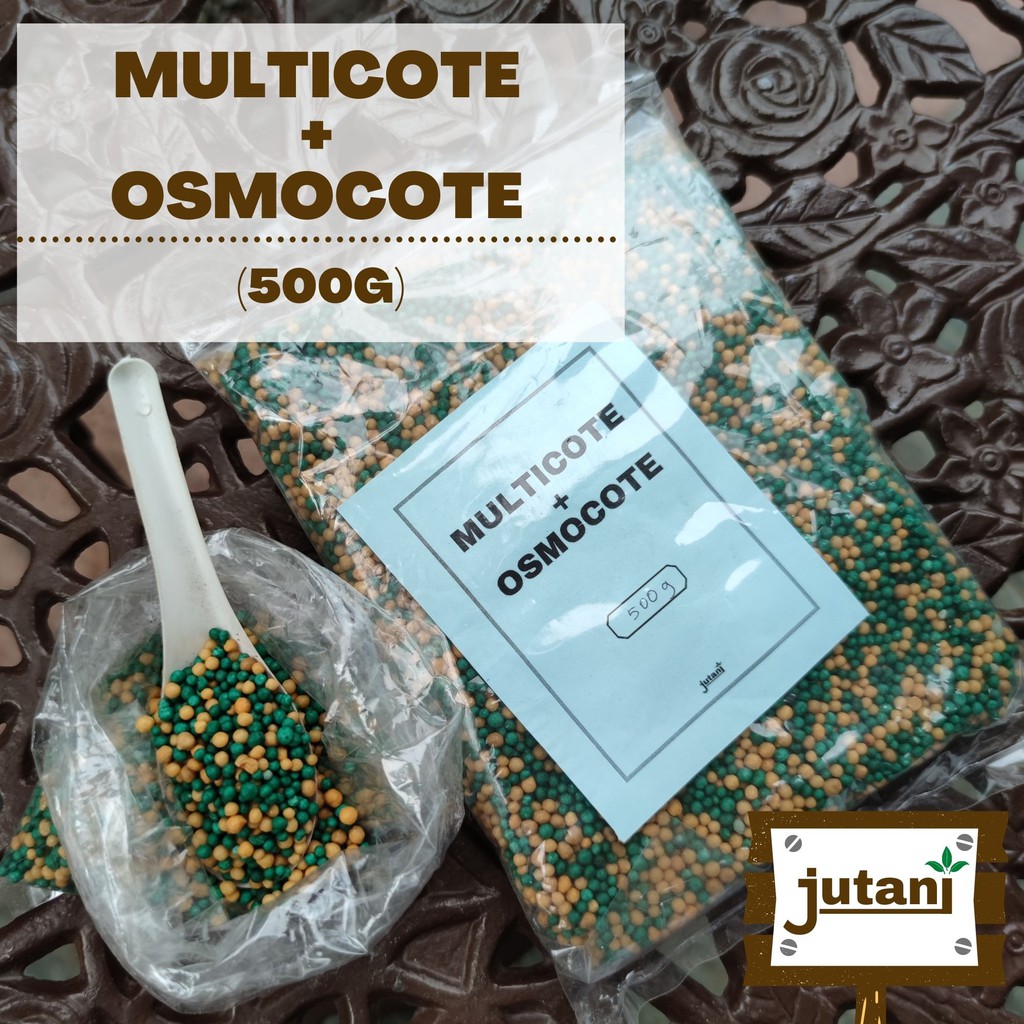 Baja Campuran Multicote & Osmocote / Time Release Fertilizer (3-4 ...