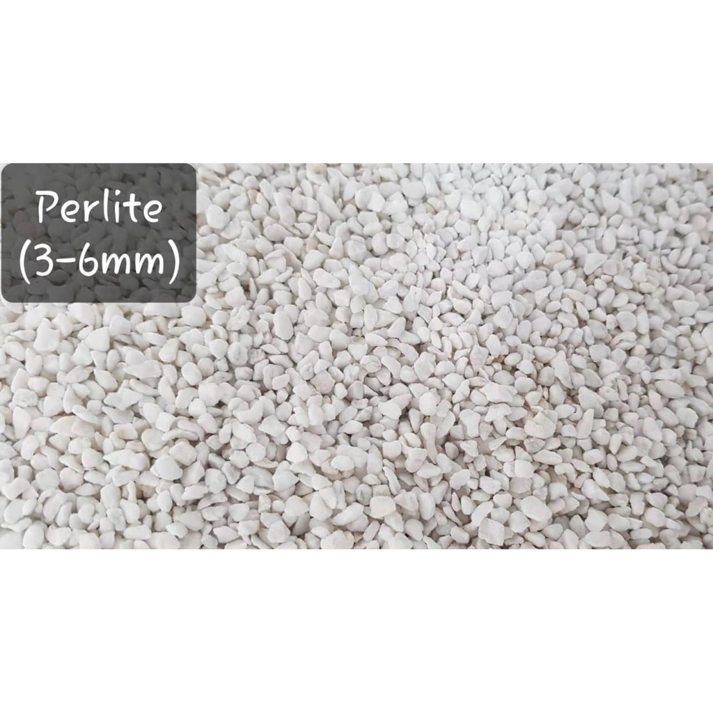 PERLITE Original Natural For Cactus,Succulent - Bahan Campuran Tanah ...
