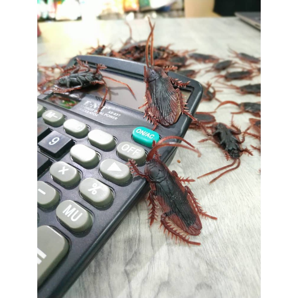 1Pcs INSECT Rubber Toy Cockroach For Fun Soft Toy Goodies Gift Pack ...