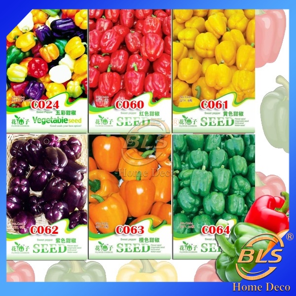 【EXPIRED】SWEET PEPPER SPECIES SEEDS FLOWER GODDESS VEGETABLE FLOWER ...