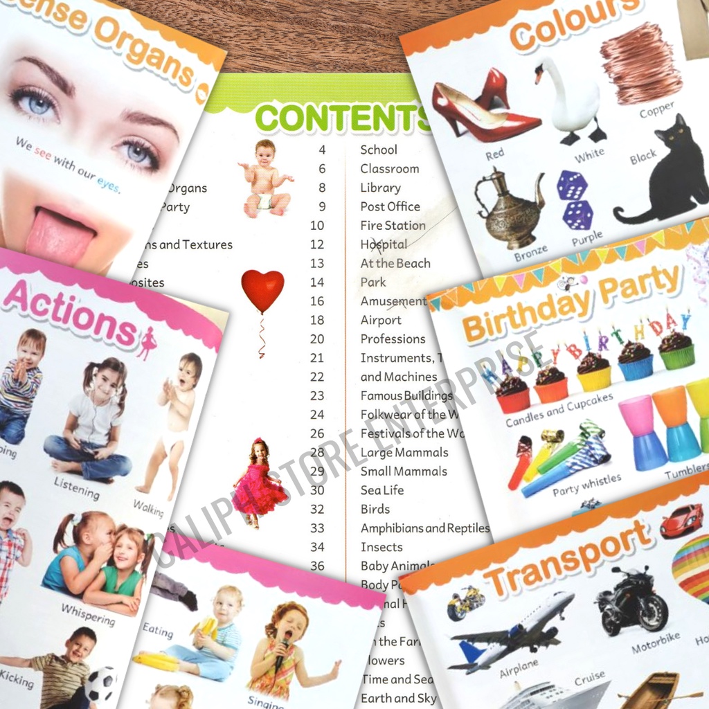 My First 1000 Words Padded Book Hardcover Children Early Learning Full ...