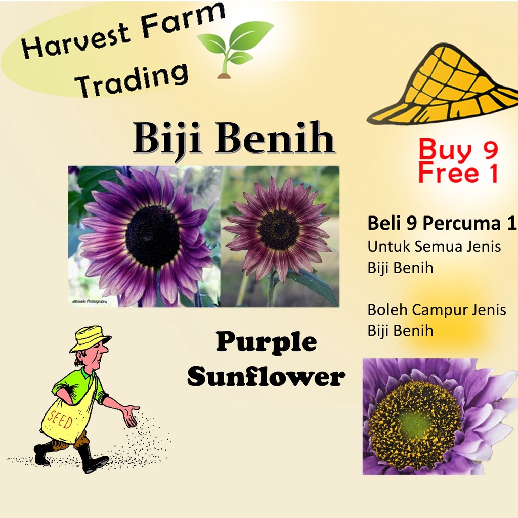 biji benih sayur sayuran pelbagai bunga vegetable seed bibit anak pokok ...