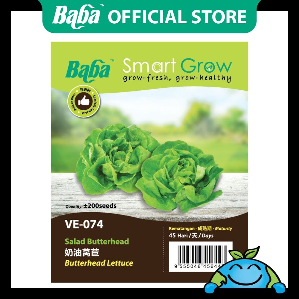 Baba Official | Baba Smart Grow Seed: VE-074 Butterhead Lettuce [200 ...