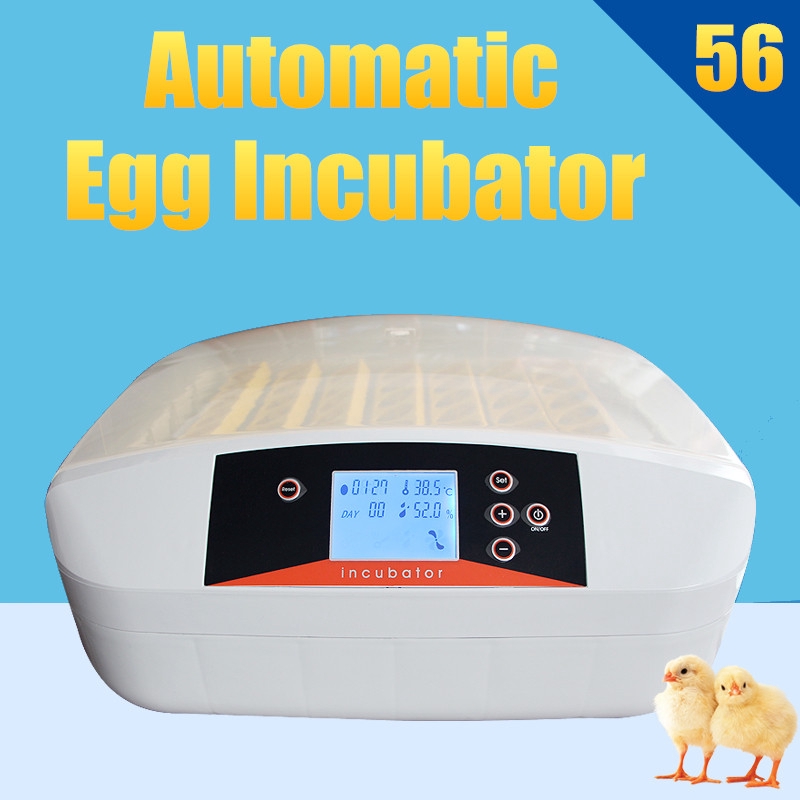 56 Eggs Digital Intelligent Auto Incubator 80W Temperature Control ...