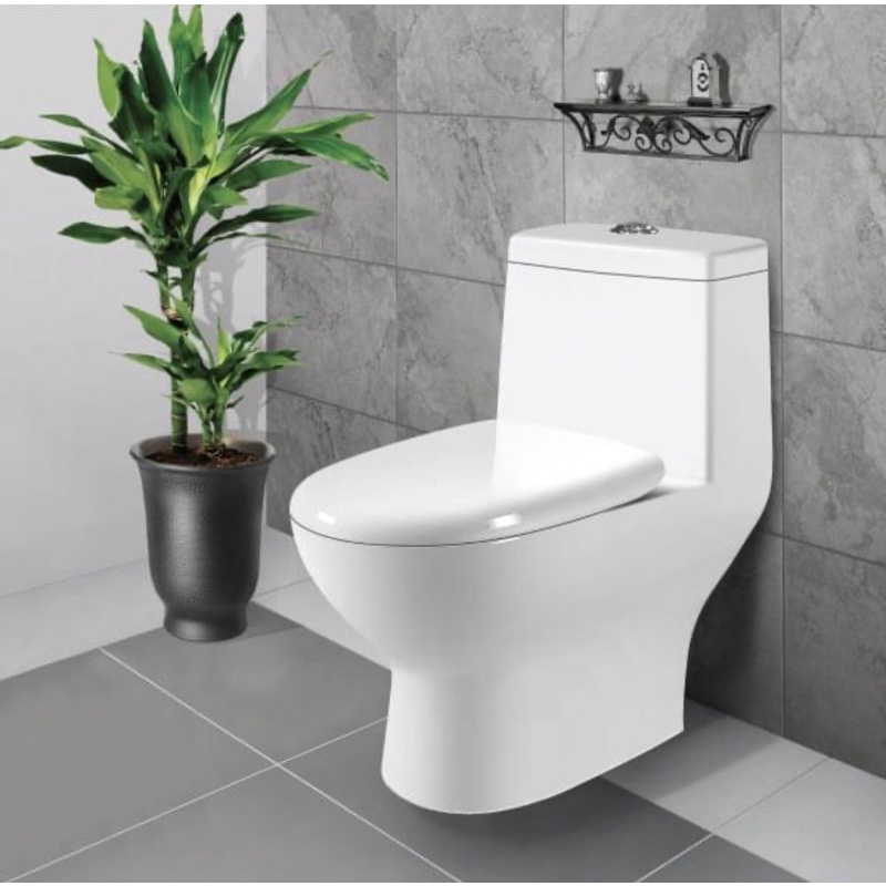 (own collection) water Closet One piece | Shopee Malaysia