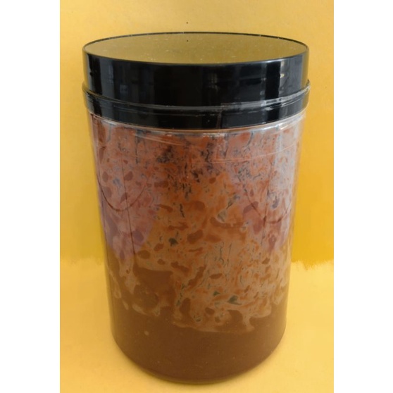 coco jar chocolate original 400ml | Shopee Malaysia