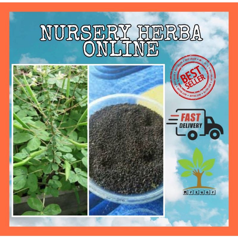 💥BIJI BENIH SAYUR MAMAN MURAH💥 ~10gram 3000biji++~ | Shopee Malaysia