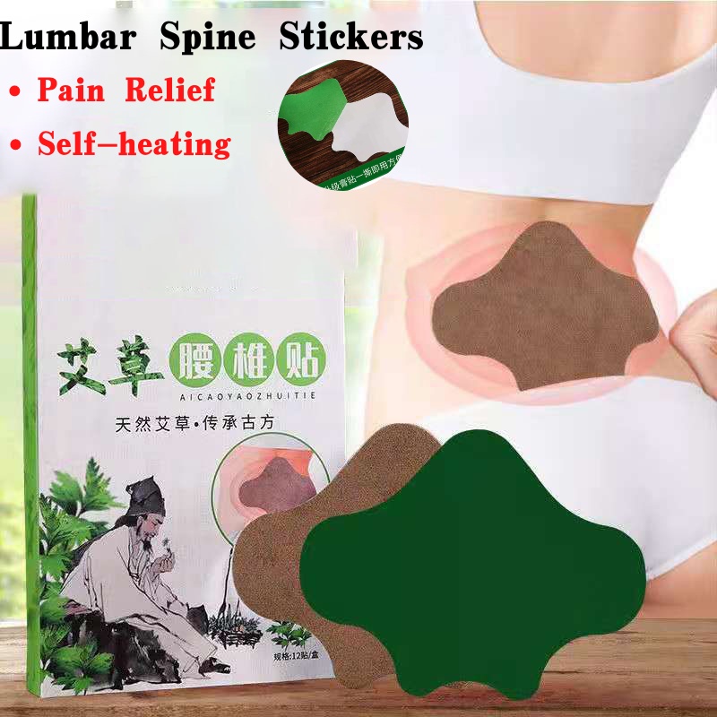 12Pcs Lumbar Spine Stickers Wormwood Back Pain Patch Arthritis Self ...