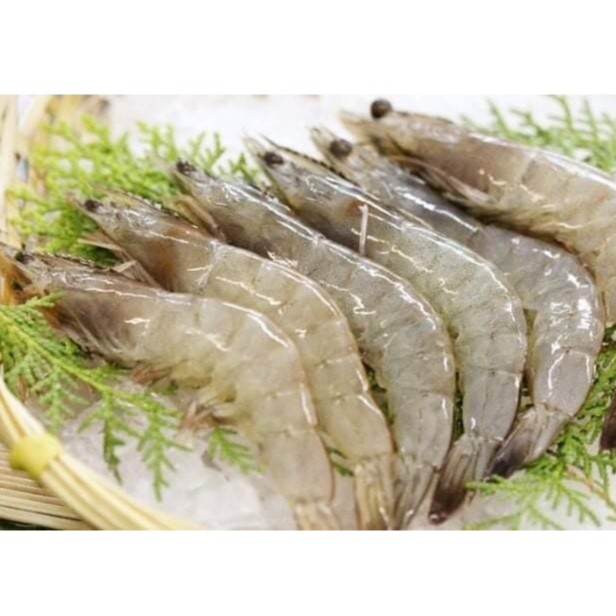Vannamei Hoso Prawn Shopee Malaysia