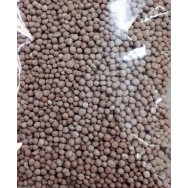 Baja CAP SINGA PENYUBUR Pokok Hiasan,Pokok Bunga, Pokok berbuah 500g ...