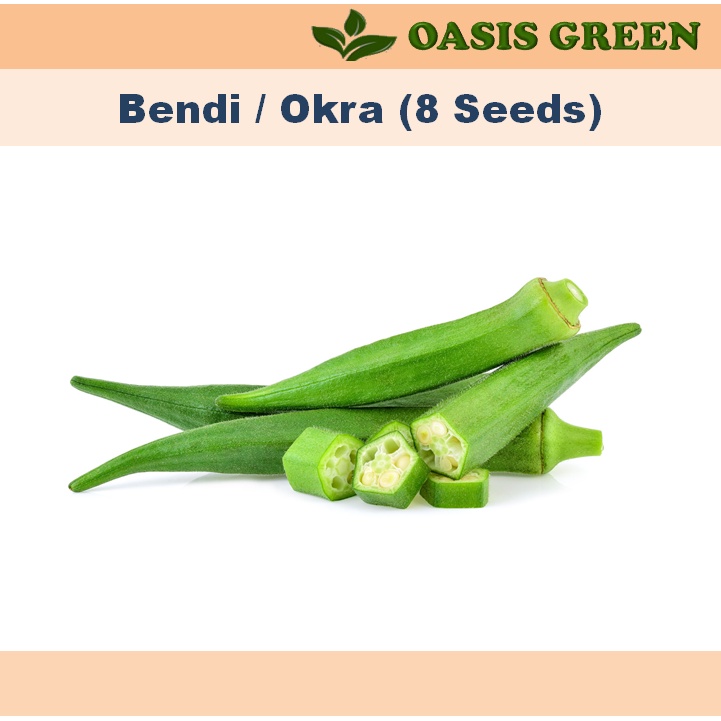 Biji Benih BENDI harga murah / Ladies Finger seeds (okra seeds ...