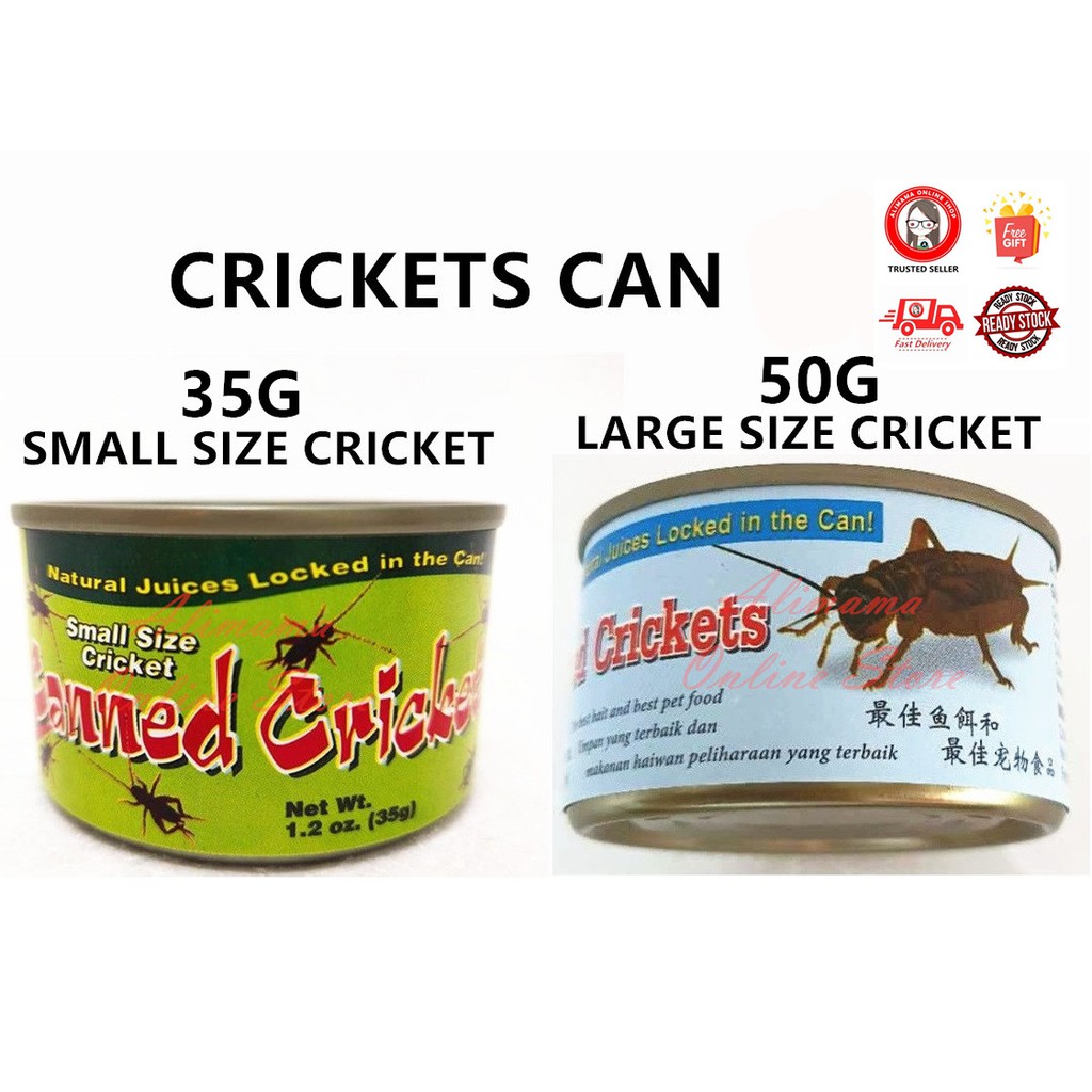 Canned Cricket Small 35g / Large 50g Farm Raised for Aquarium Fish ...