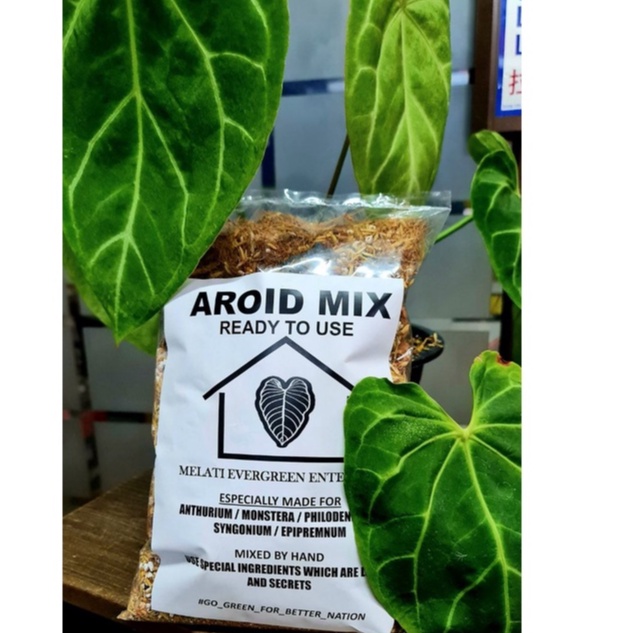 AROID MIX ( READY TO USE ) 🍀 SOIL MIX BY MELATI EVERGREEN 🍀 | Shopee ...