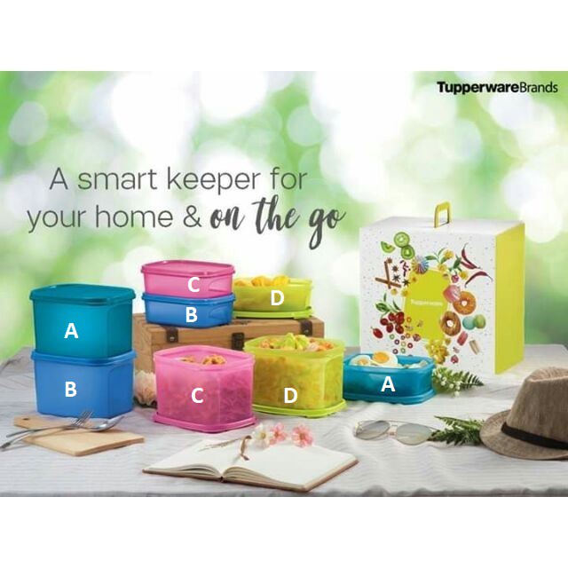 Tupperware Smart Keeper Gift Set Modular Mates Rectangular 850ml and 1 ...