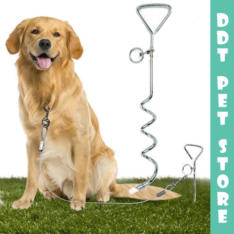 DDT PET STORE !! Dog Pet Fixed Leash Outdoor Tether Ground Tie Out ...