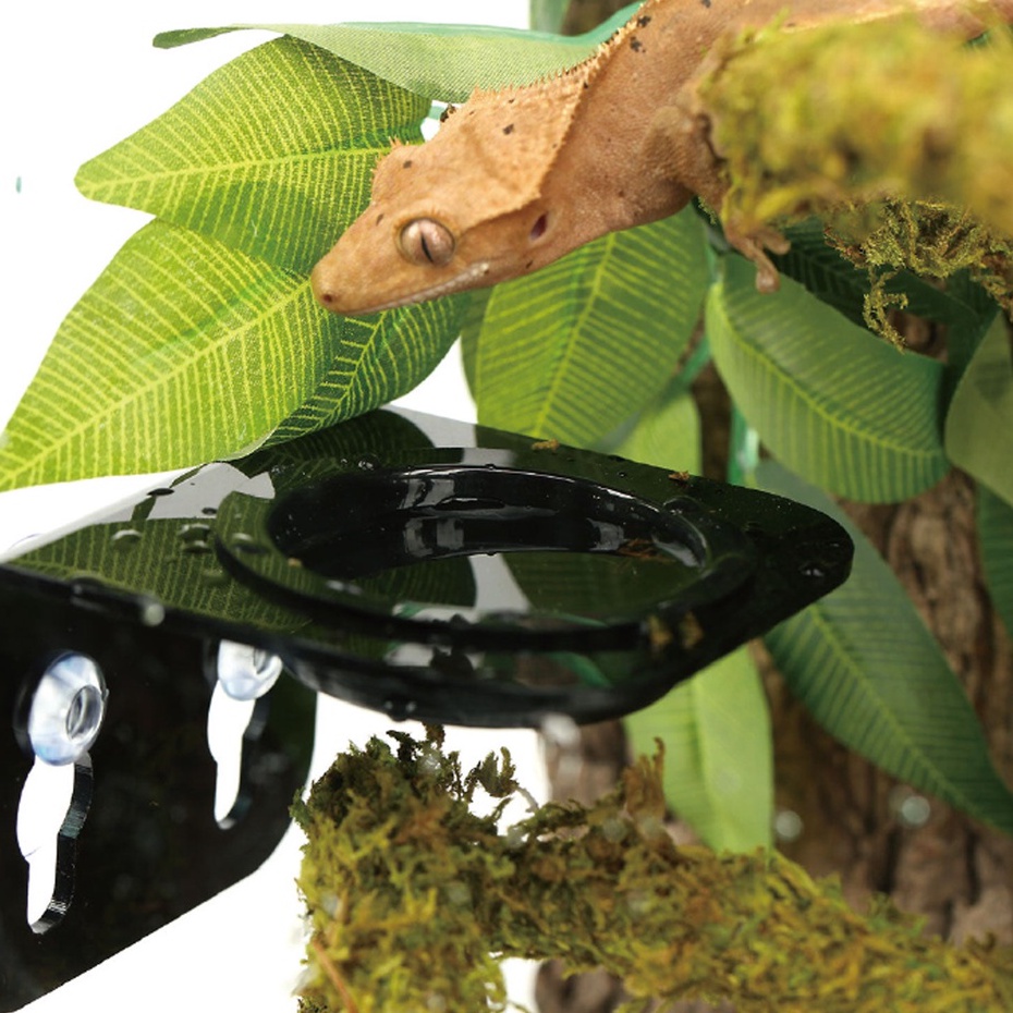 REPTI ZOO ARBOREAL FEEDERS FOR CRESTED GECKO | Shopee Malaysia