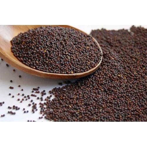 Mustard Seed / Biji Sawi 1kg | Shopee Malaysia