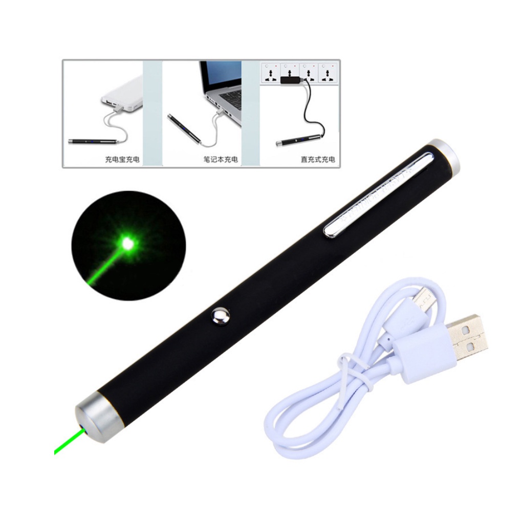 USB201 Single Point Green Red Blue Violet Laser Pointer Rechargeable ...